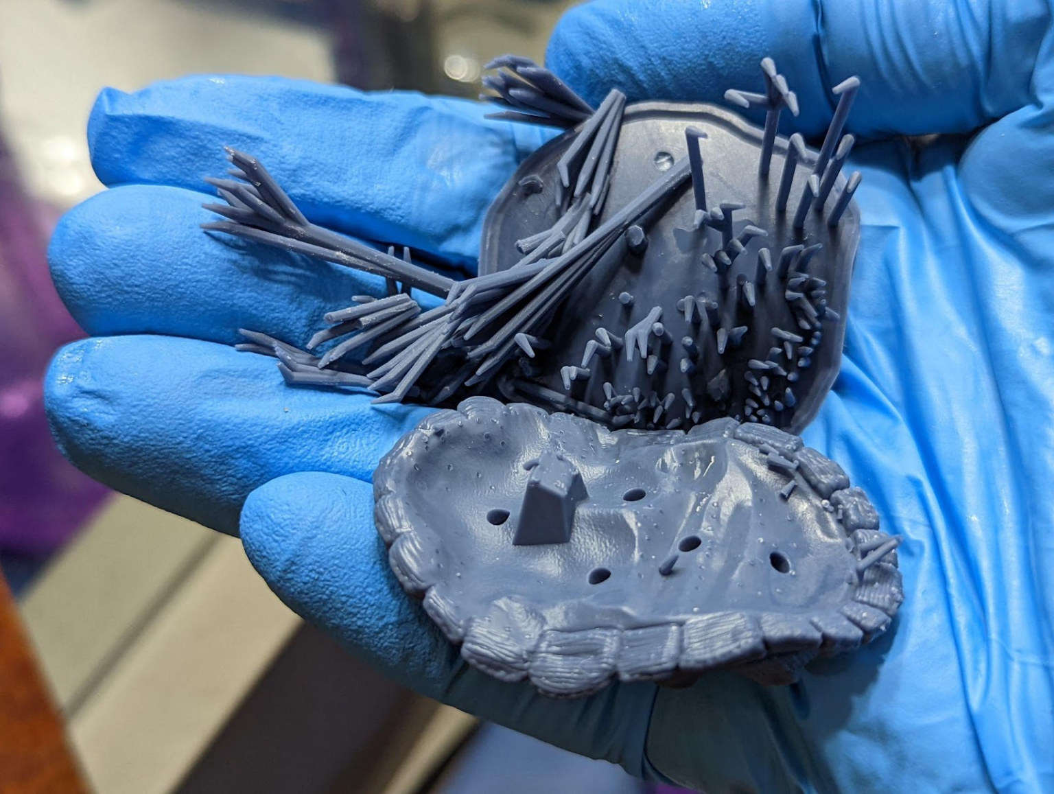 Support Removal – Lychee Documentation