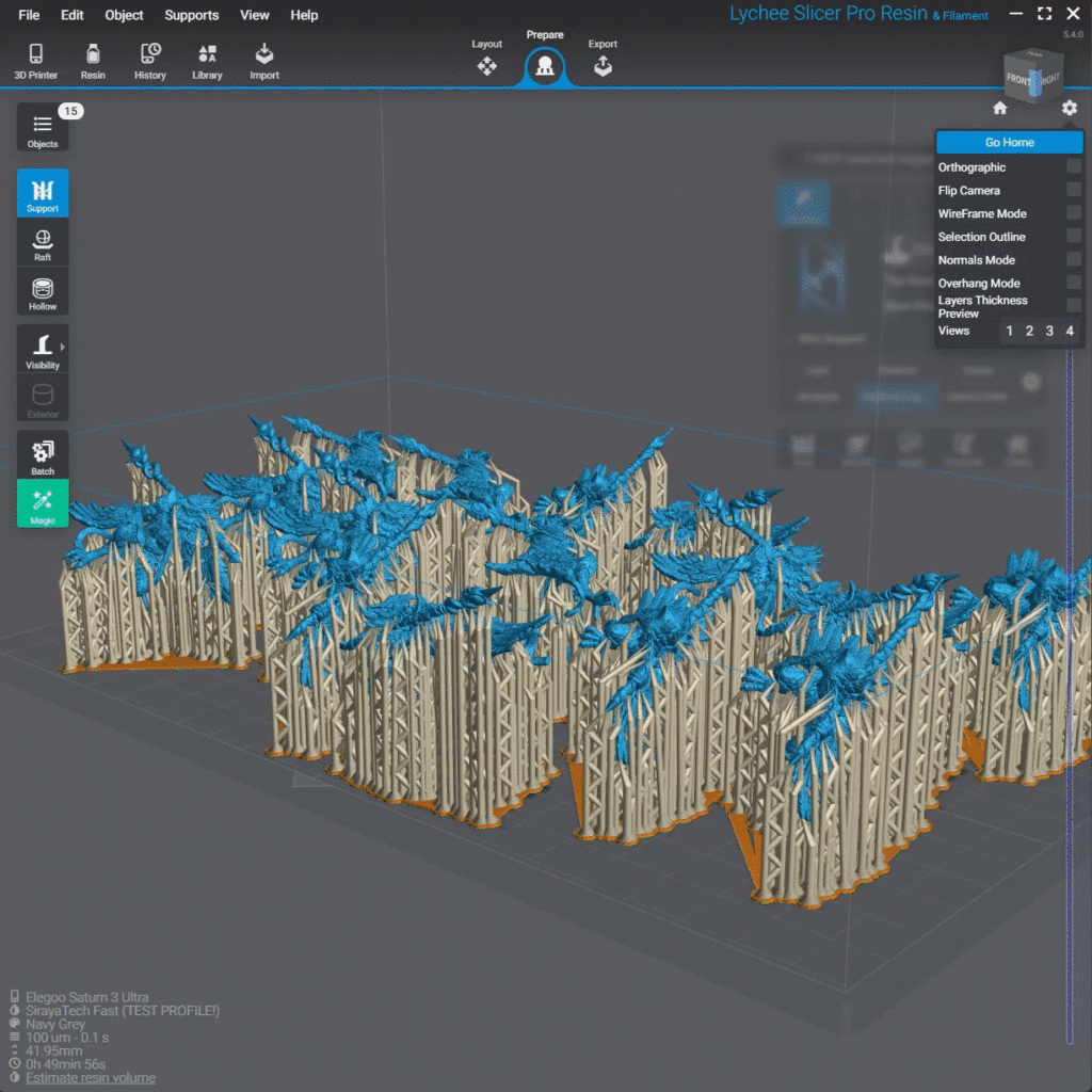View Options – Lychee Documentation