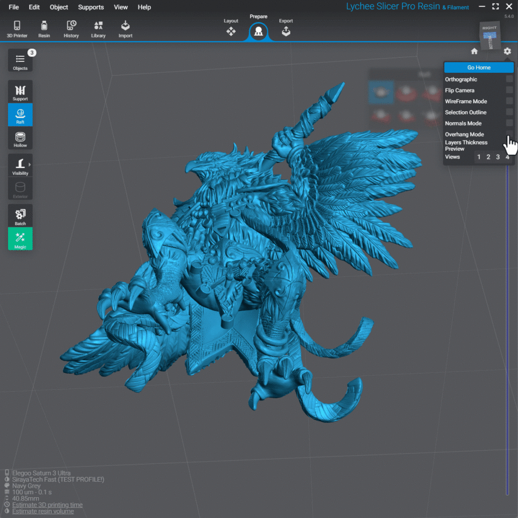 View Options – Lychee Documentation