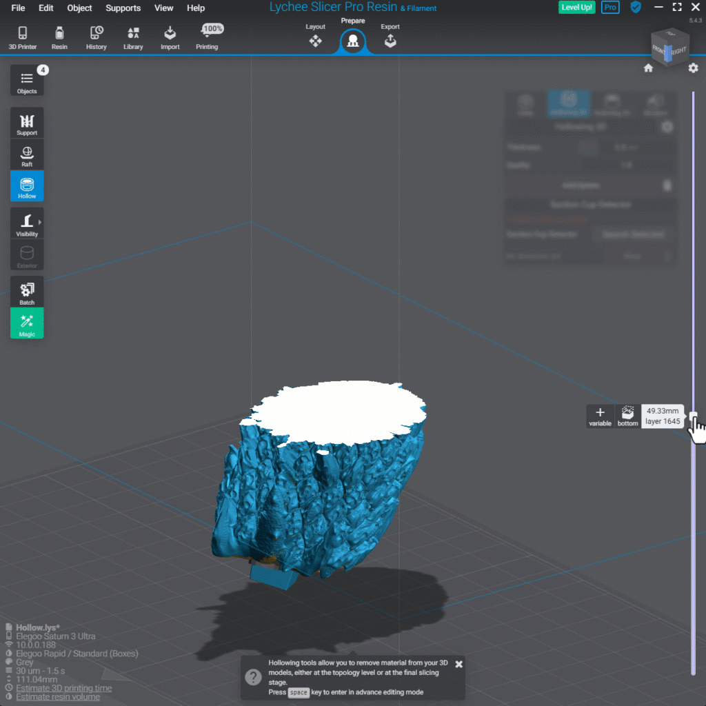 Hollowing 3D – Lychee Documentation
