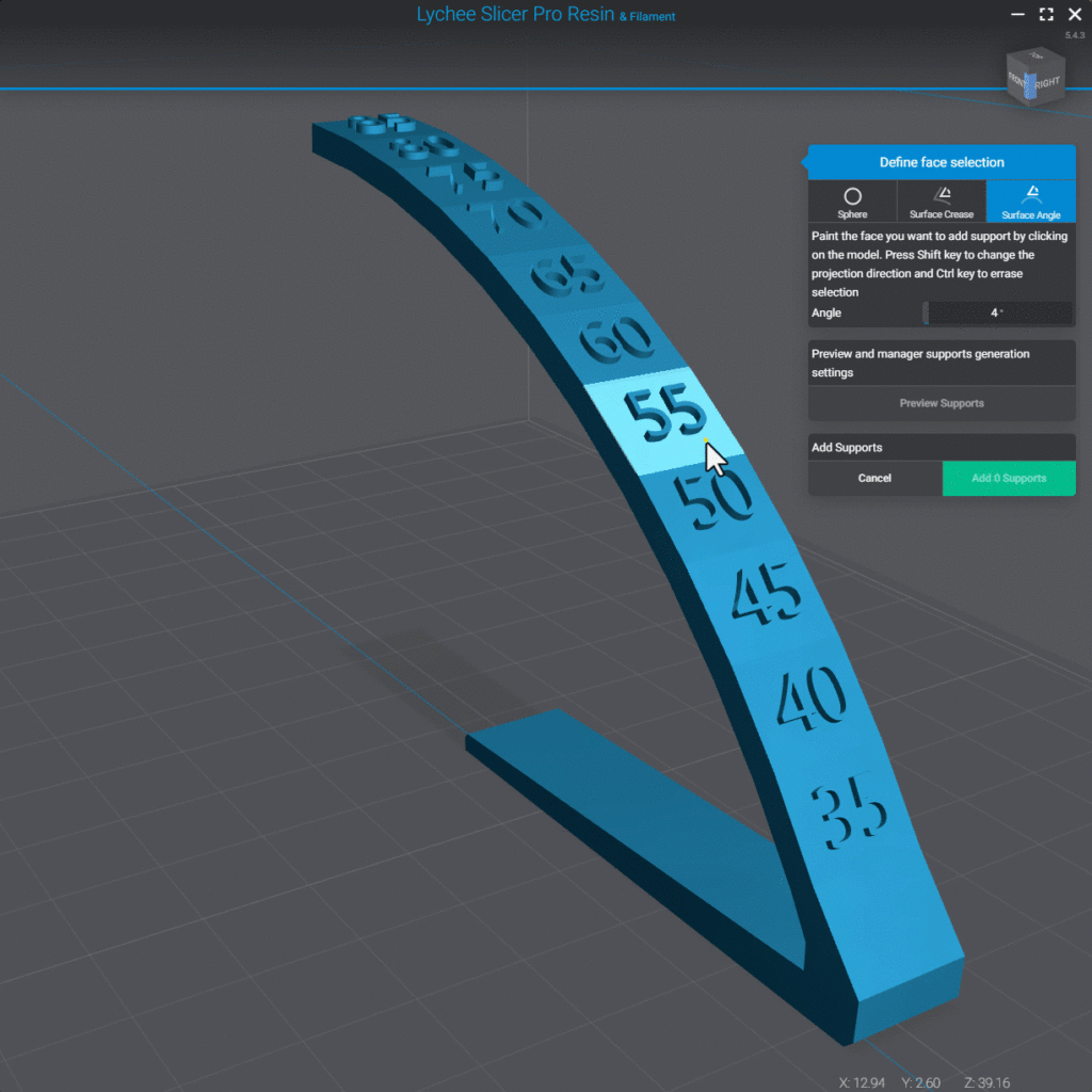Projection Supports – Lychee Documentation