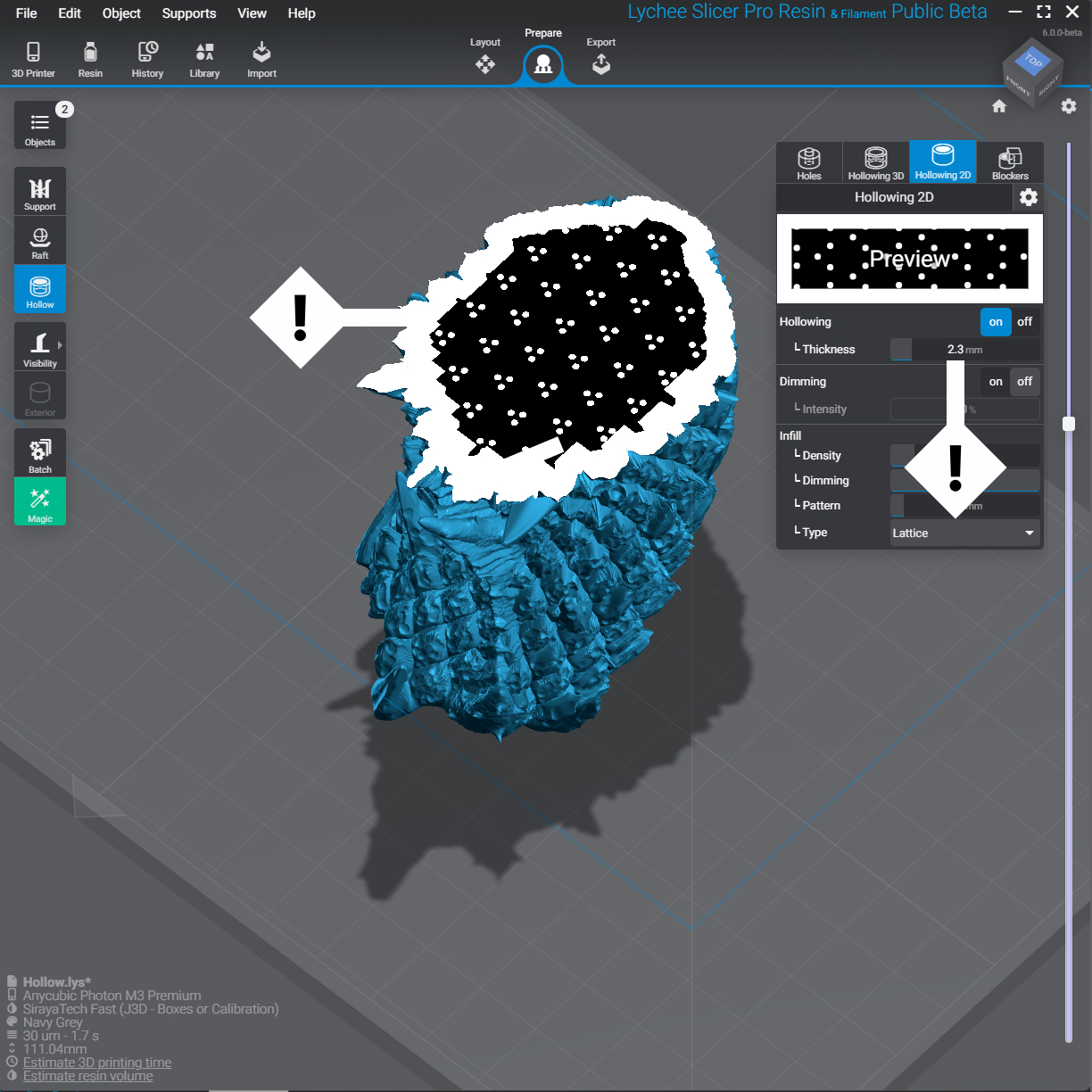 Hollowing 2D – Lychee Documentation