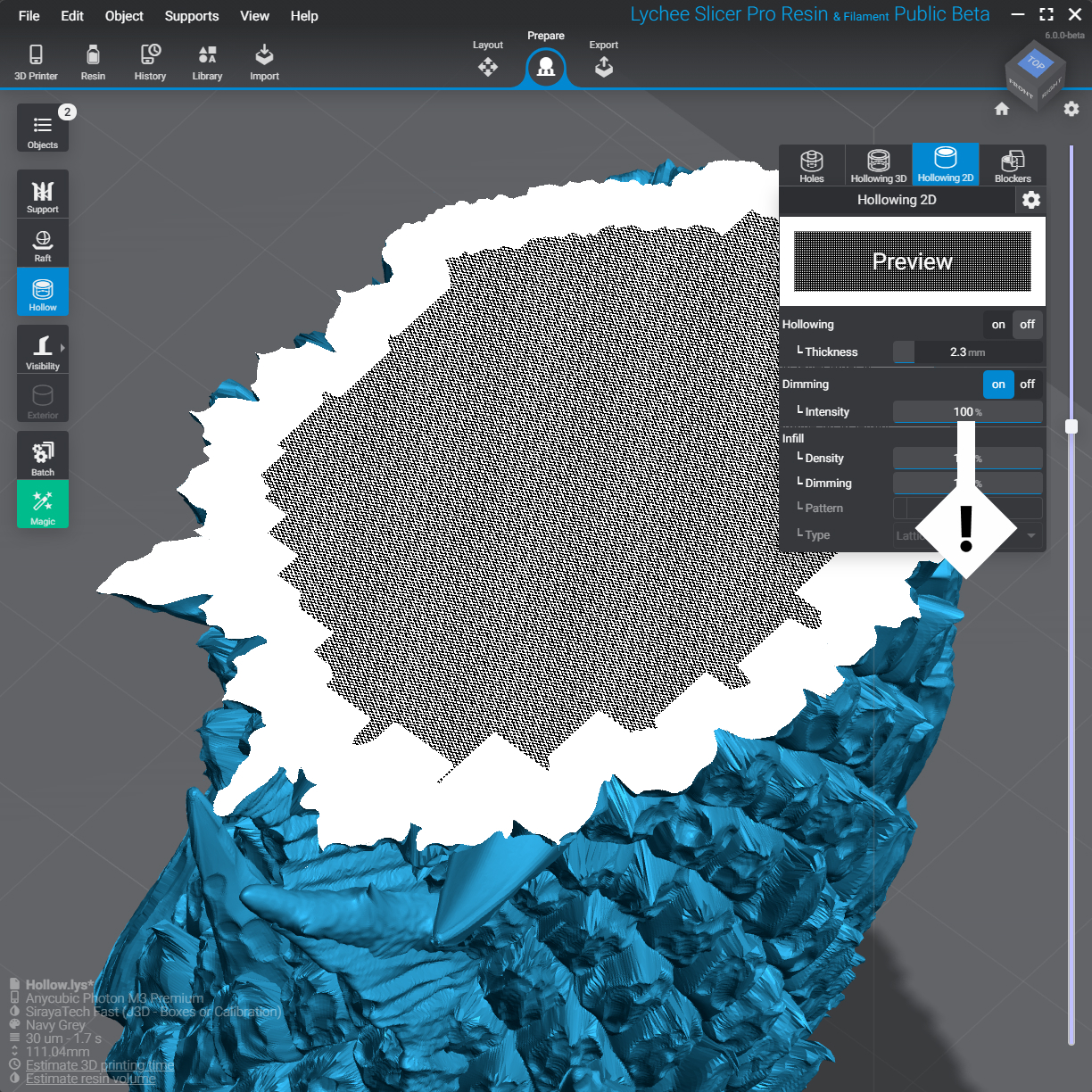 Hollowing 2D – Lychee Documentation