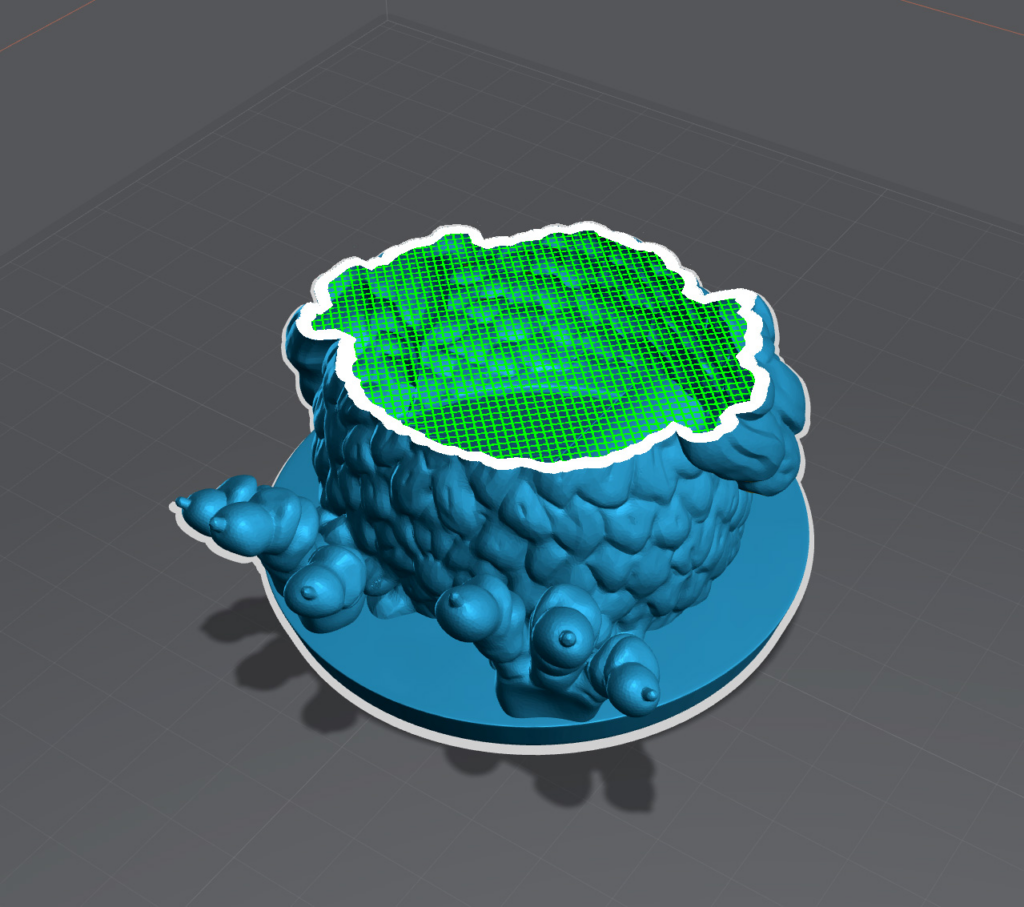 Basic settings – Lychee Documentation